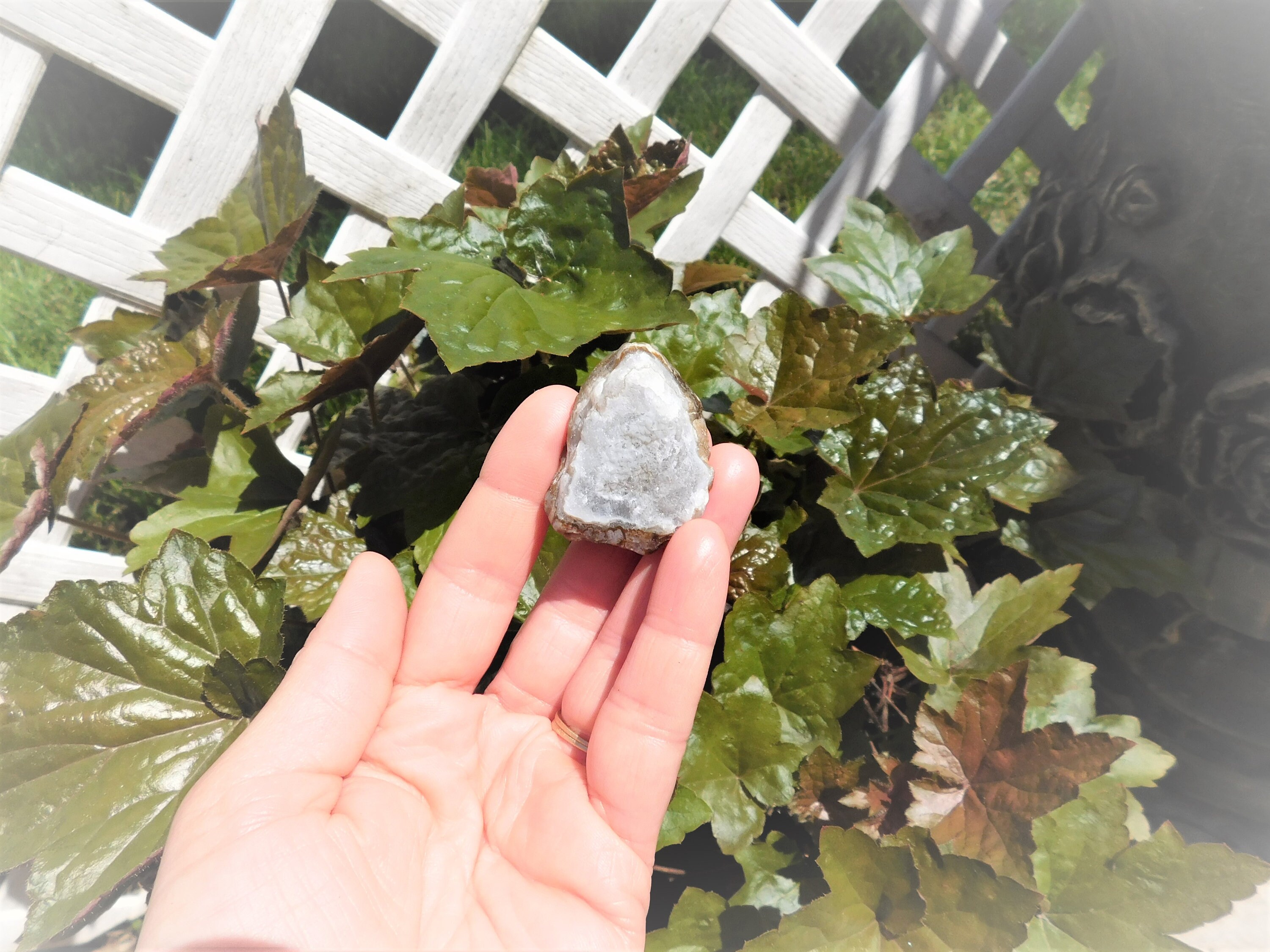 Natural Beautiful Large- XLarge Raw Orange- Brown Gemmy Carnelian Agate ...