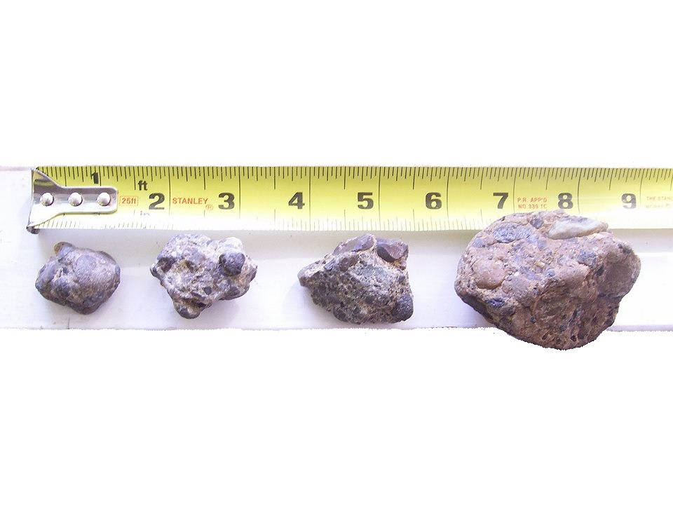 Stones By The Pound- One Pound- 16 oz. Large- XXLarge Brown- Gray ...