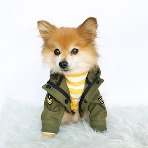 Dog Military Jackets, Army Coats, Puppy Clothes, Pet Hoodies, Dogs ...