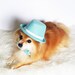 Fedora for DOGS, CATS! HANDMADE Dog Hats, Dog Caps, Summer Hat, Cowboy ...