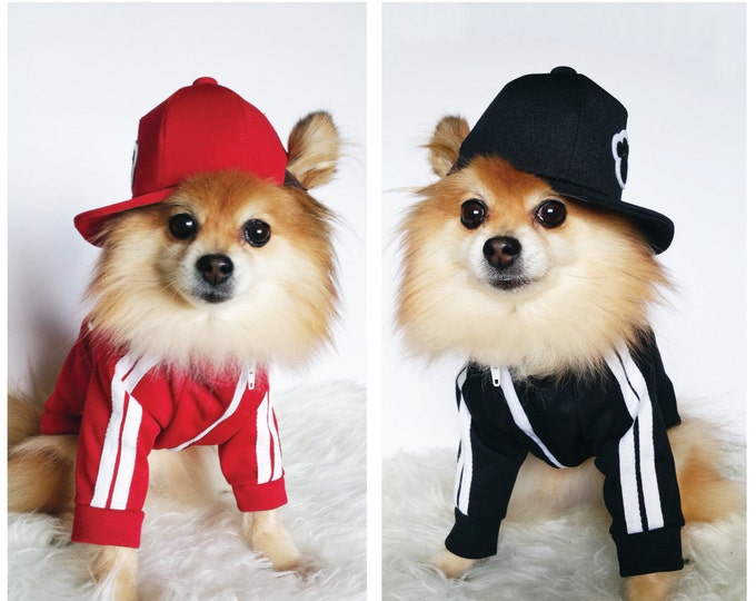 Snapbacks for DOGS, CATS HANDMADE Dog Hats, Dog Caps, Baseball Hat ...