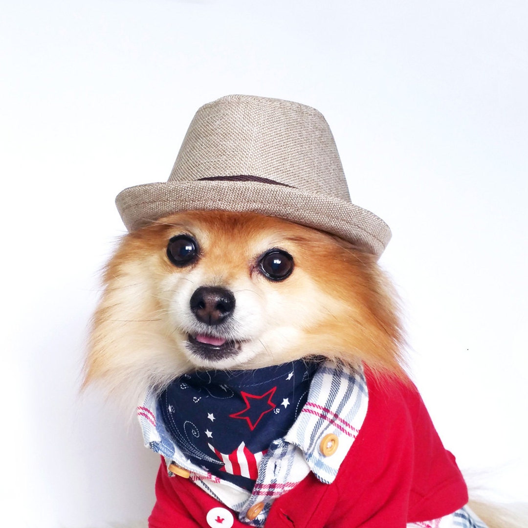 Tan Fedora for DOGS, CATS! HANDMADE Dog Hats, Dog Caps, Summer Straw ...