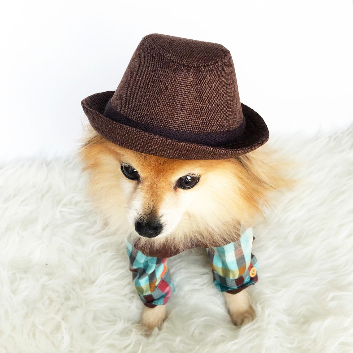 Fedora for DOGS CATS HANDMADE dog hats dog caps summer | Etsy