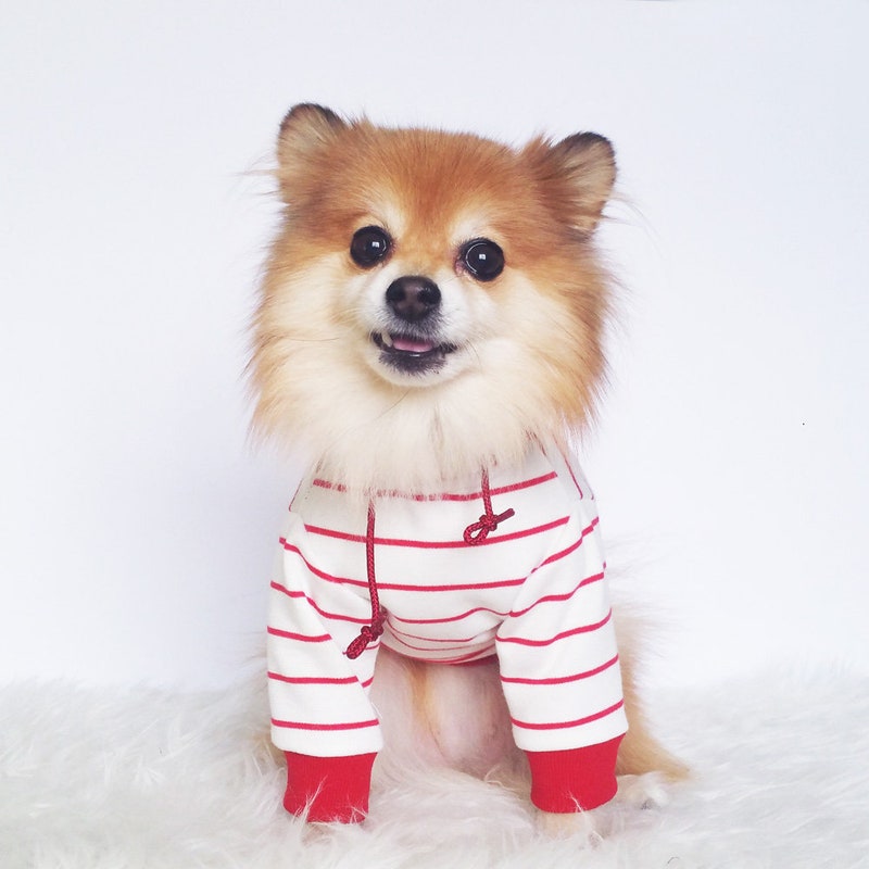 Cute Dog Clothes - Etsy