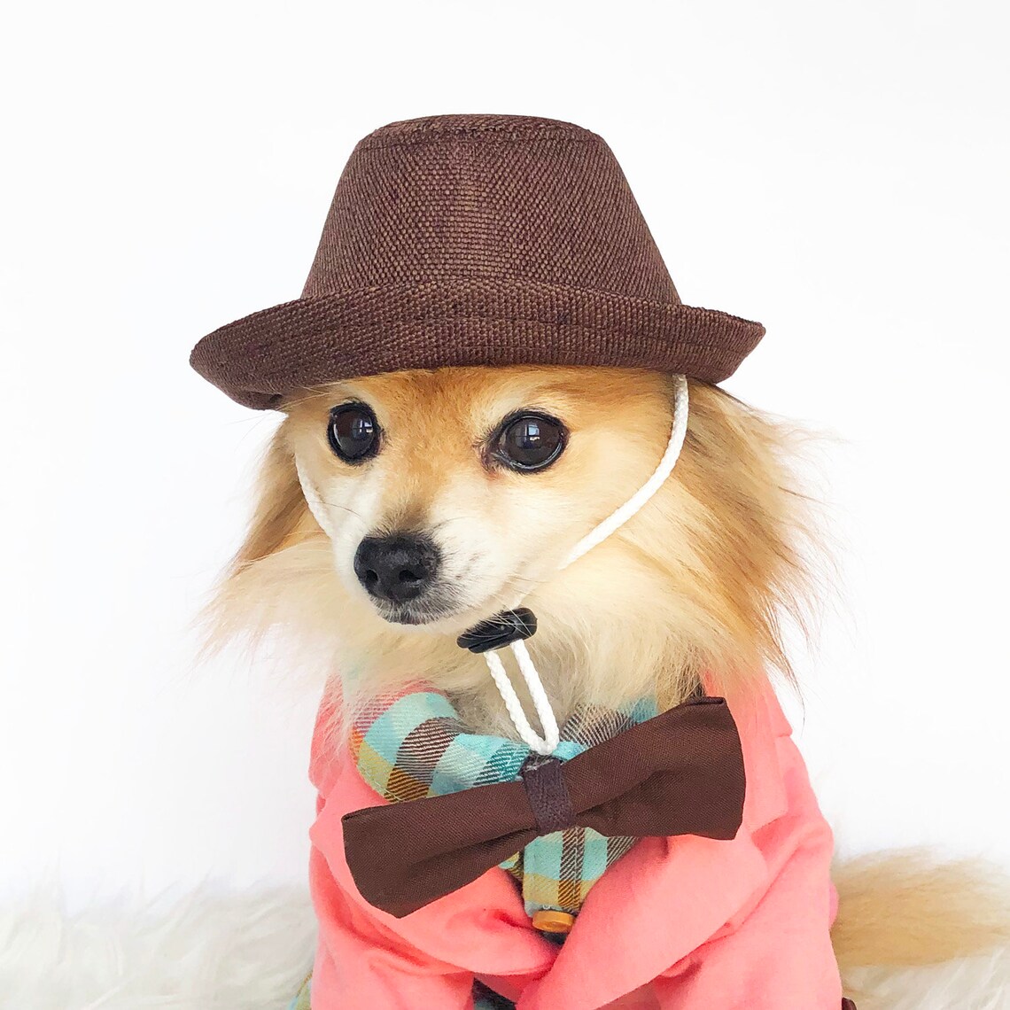 Fedora for DOGS CATS HANDMADE dog hats dog caps summer | Etsy