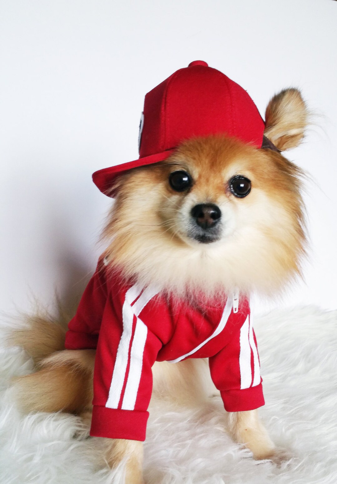 Red Stripe Dog Jersey, Xs-4xl, Dog Clothes, Puppy Jacket, Dogs Hoodies ...