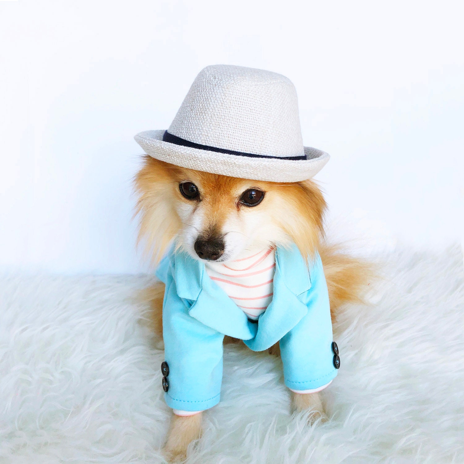 Fedora for DOGS CATS HANDMADE dog hats dog caps summer | Etsy