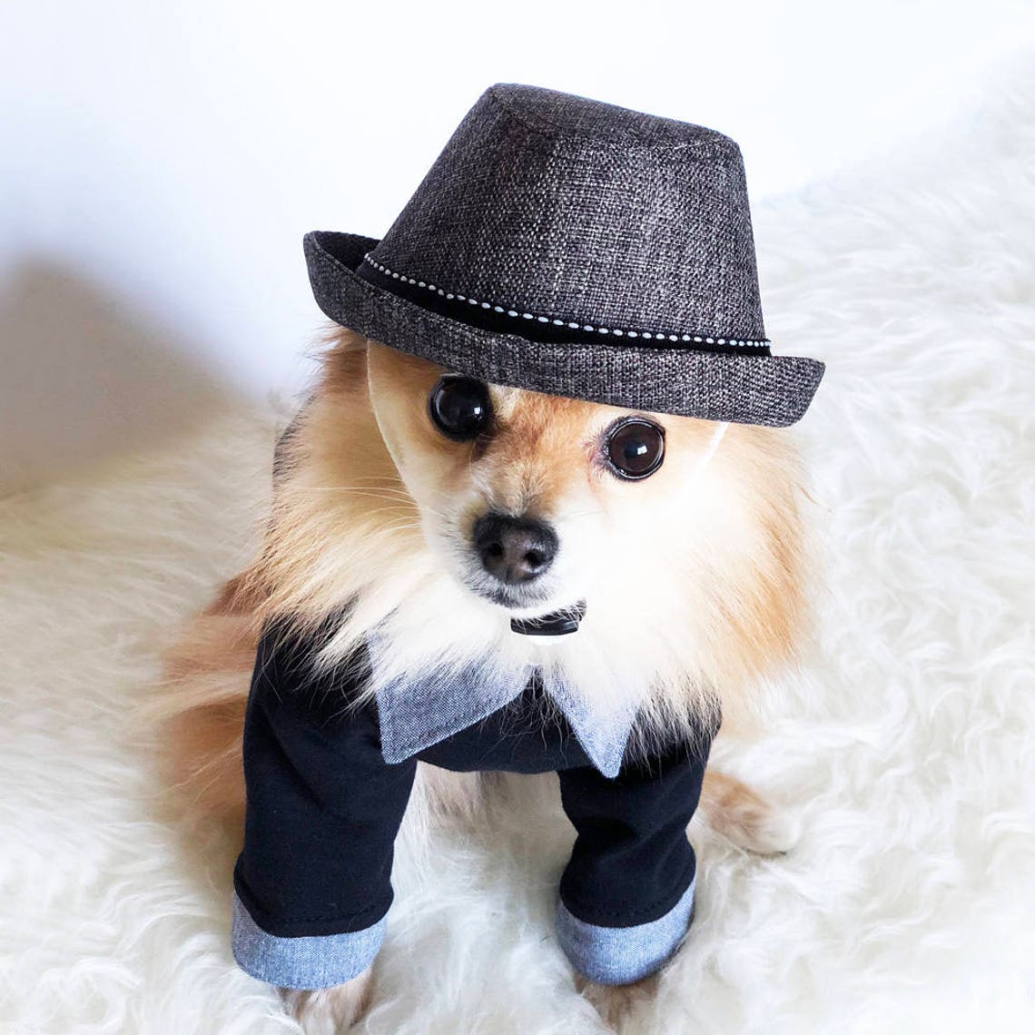 Fedora for DOGS CATS HANDMADE Dog Hats Dog Caps Summer | Etsy