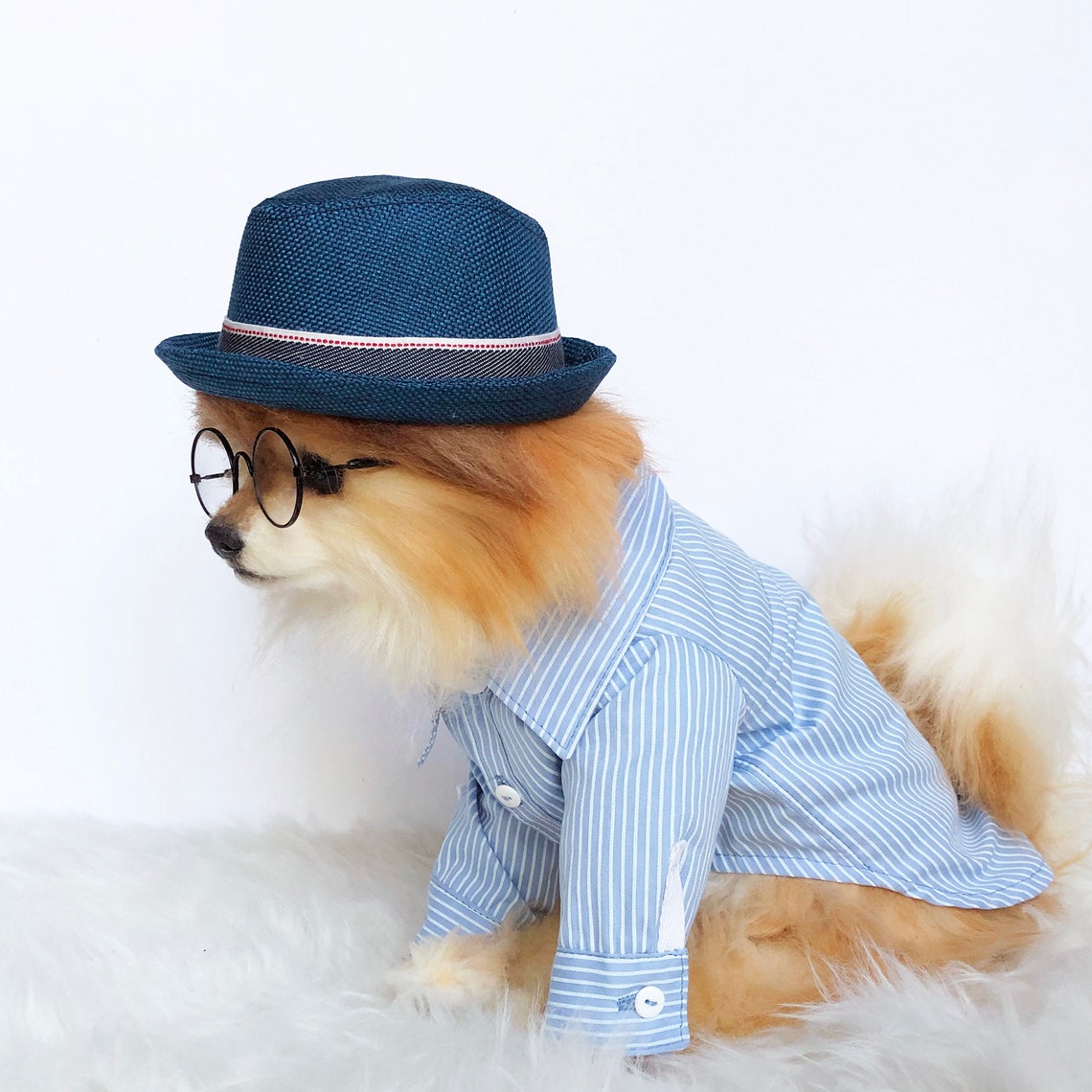 Fedora for DOGS, CATS! HANDMADE Dog Hats, Dog Caps, Summer Hat, Cowboy ...