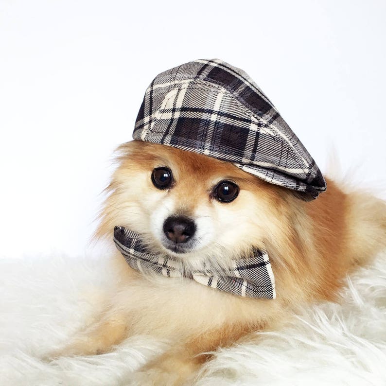 Ivy Caps for DOGS CATS HANDMADE Dog Hats Summer Hat Cowboy - Etsy