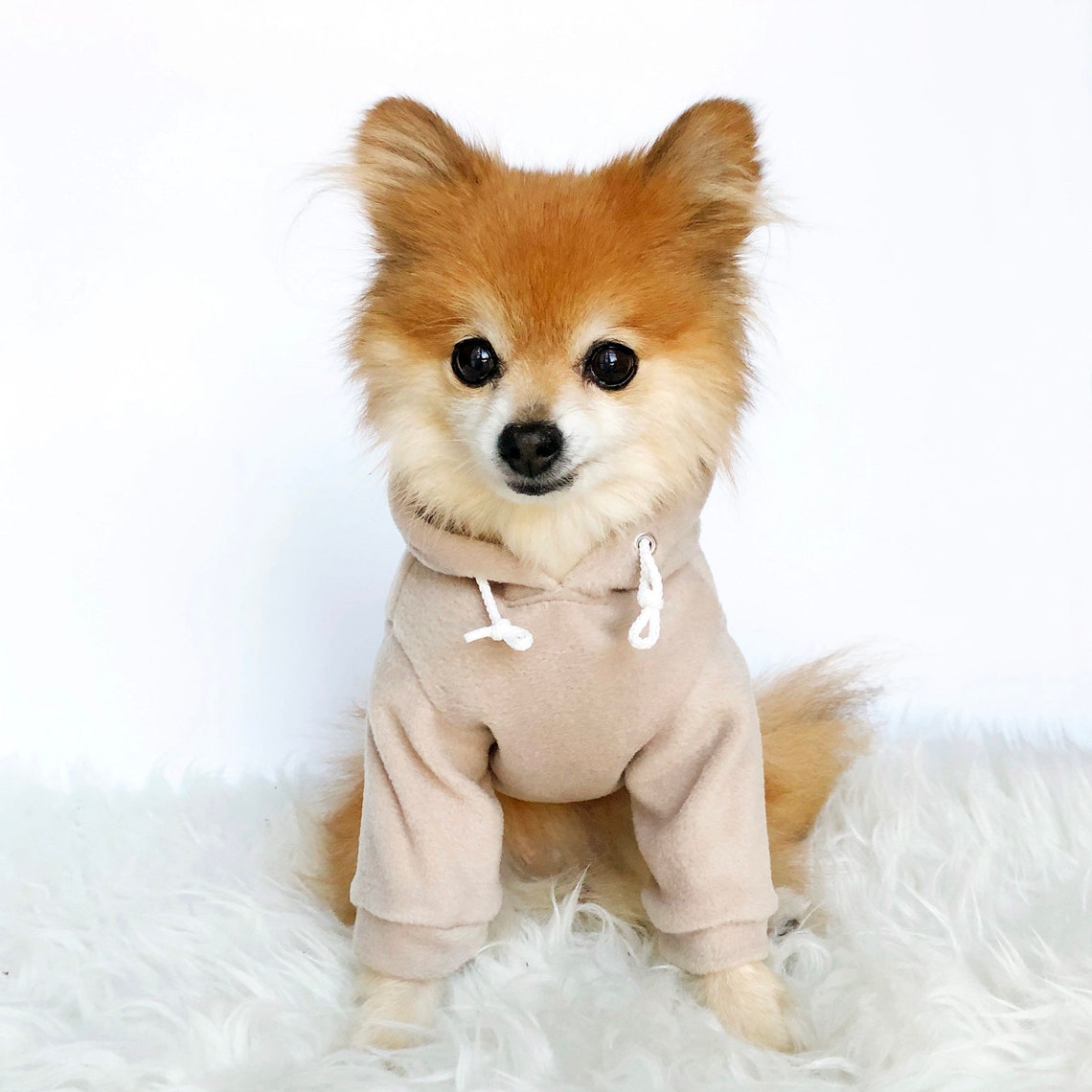 HANDMADE Dog Clothes S4XL Gray Sweater Dog Hoodie Pet - Etsy Canada