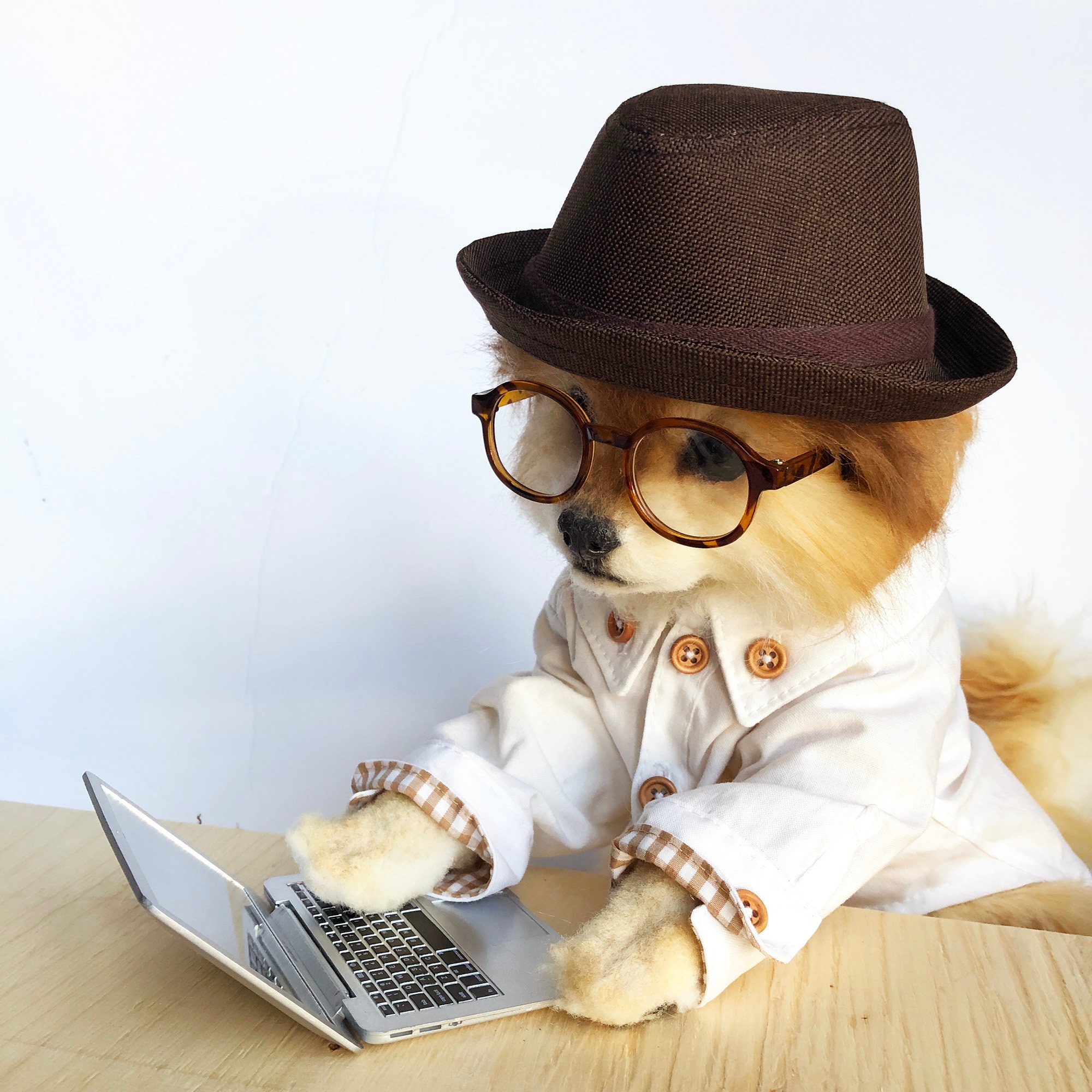 Fedora for DOGS, CATS! HANDMADE Dog Hats, Dog Caps, Summer Hat, Cowboy ...
