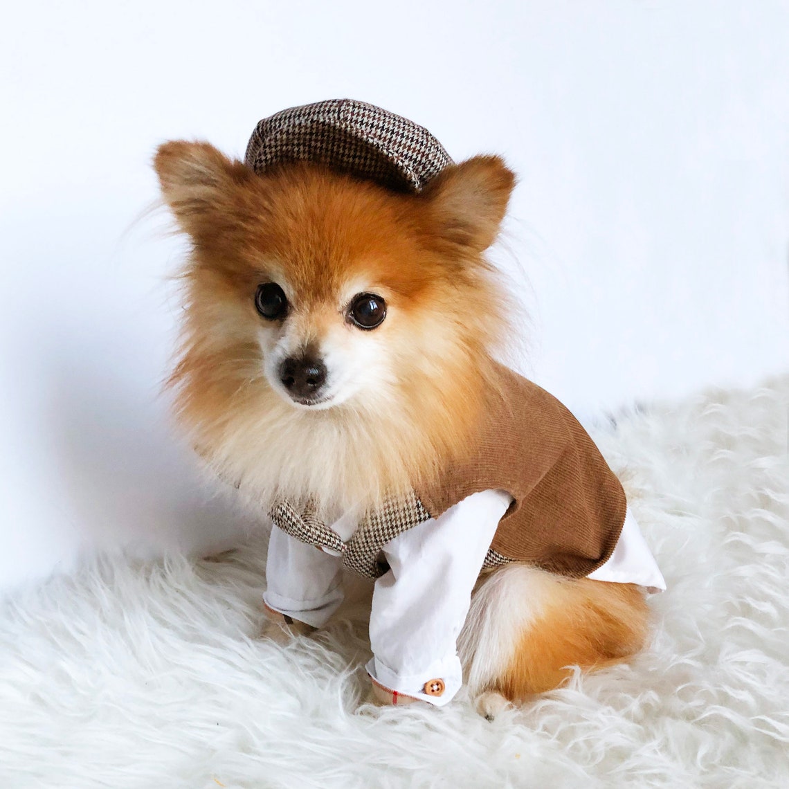 Dog Suit Vest, Check Buttondown Vest, Puppy Dress Shirt, Dog Wedding ...