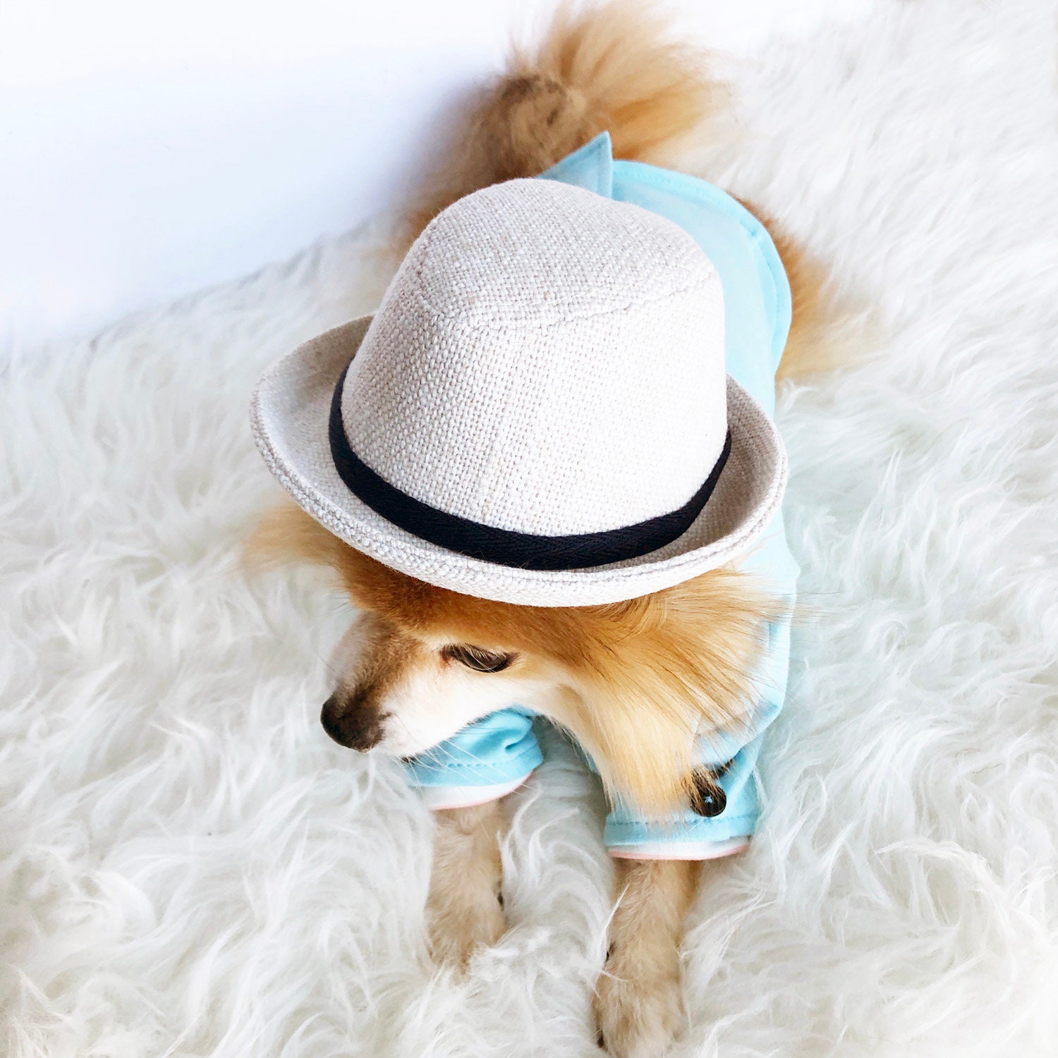 Fedora for DOGS CATS HANDMADE dog hats dog caps summer | Etsy