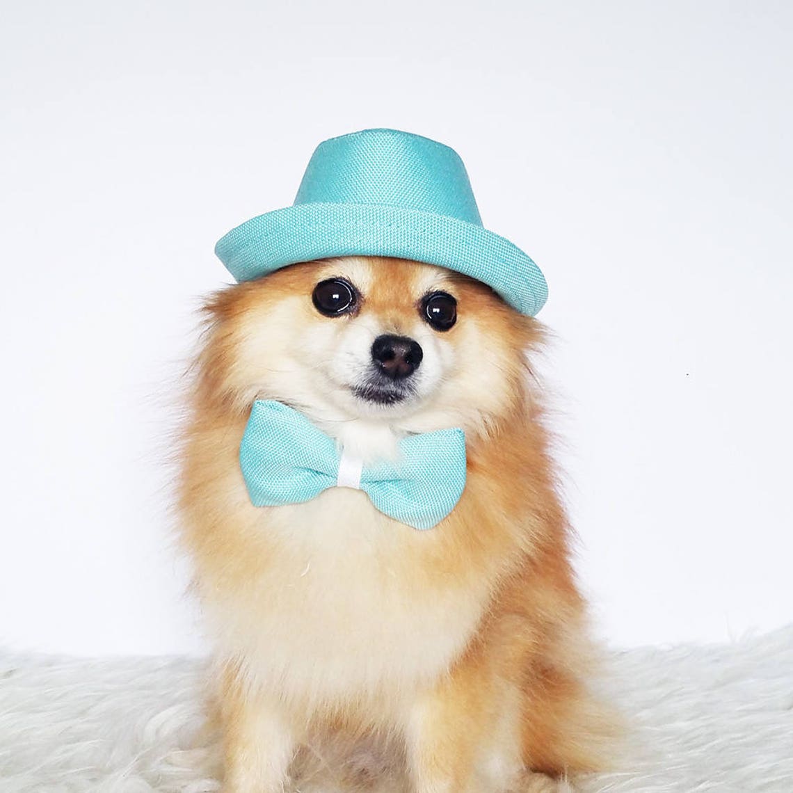 Fedora for DOGS, CATS! HANDMADE Dog Hats, Dog Caps, Summer Hat, Cowboy ...