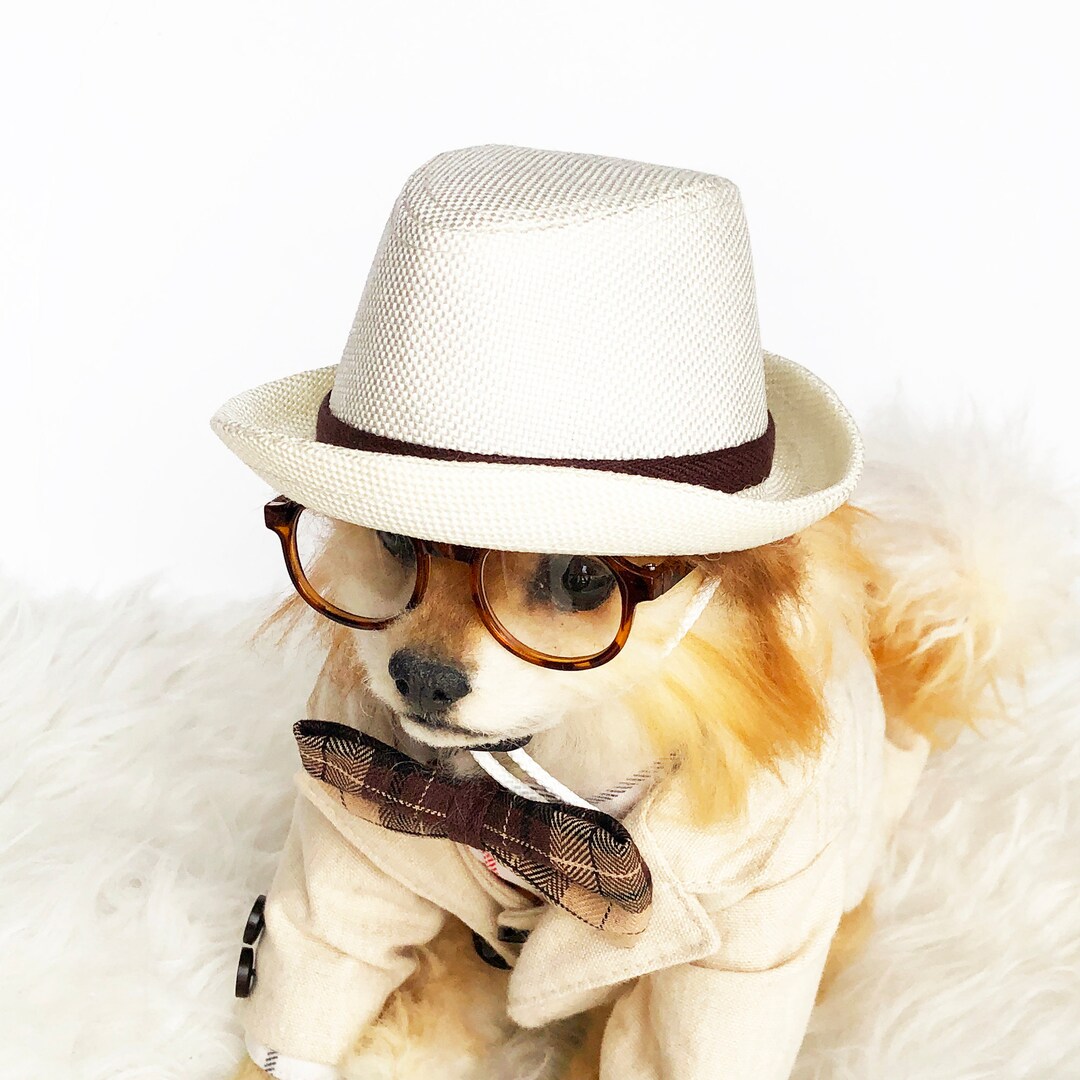 Fedora for DOGS CATS HANDMADE Dog Hats Dog Caps Summer - Etsy Canada