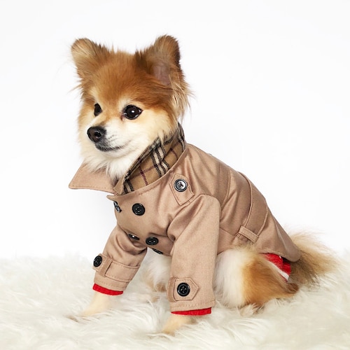 Gray Modern Classic Dog Trench Coat. | Etsy