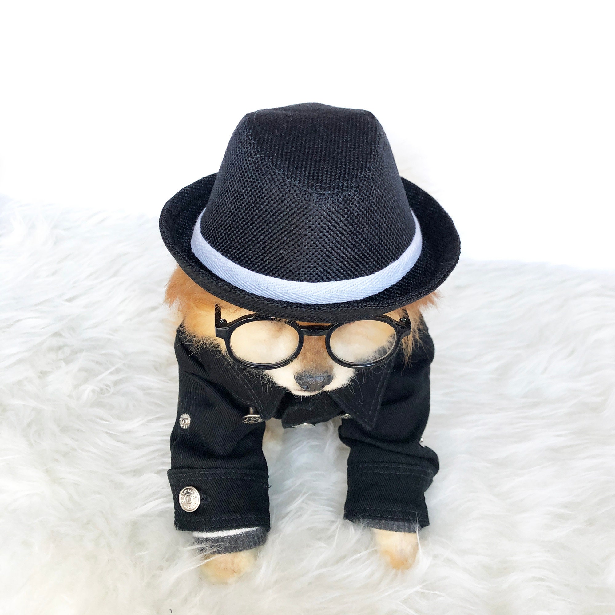 Black Fedora for DOGS, CATS! Dog Hats, Dog Caps, Summer Hat, Cowboy Hat ...