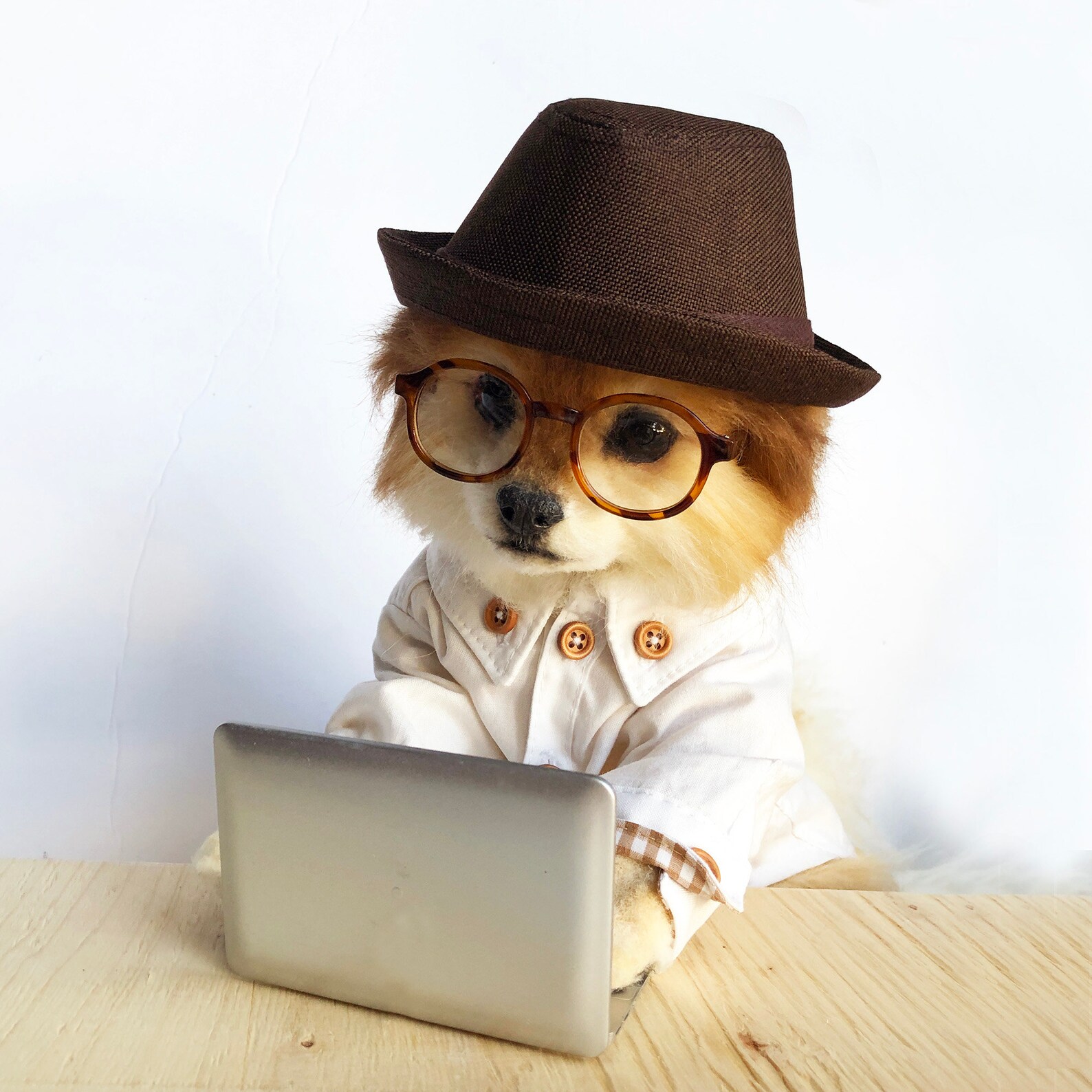 Fedora for DOGS CATS HANDMADE Dog Hats Dog Caps Summer - Etsy