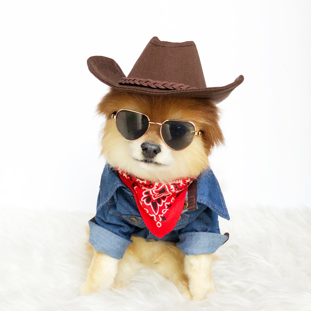 Dog Denim Western Shirts, Cowboy Jean Shirts, Puppy Dress Shirt, Dogs ...