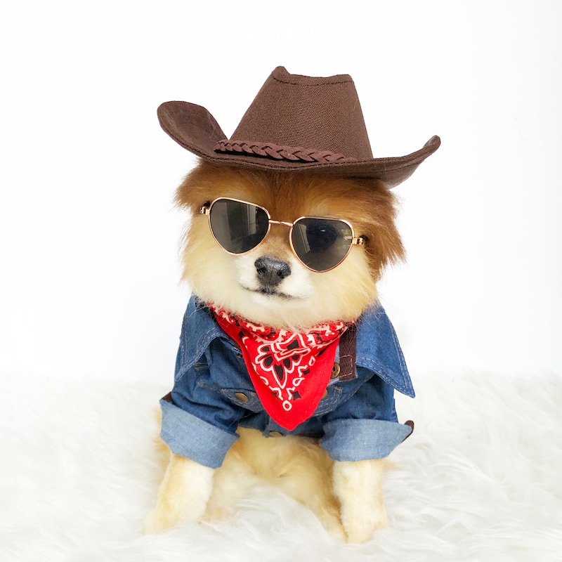 Police Dog Costume - Etsy