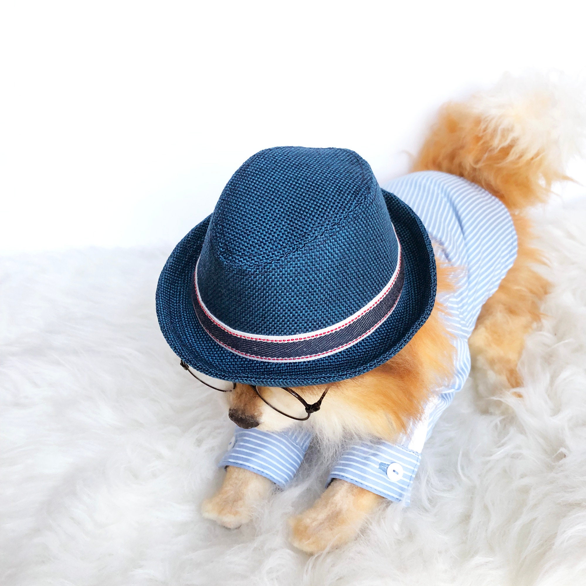 Fedora for DOGS CATS HANDMADE Dog Hats Dog Caps Summer - Etsy