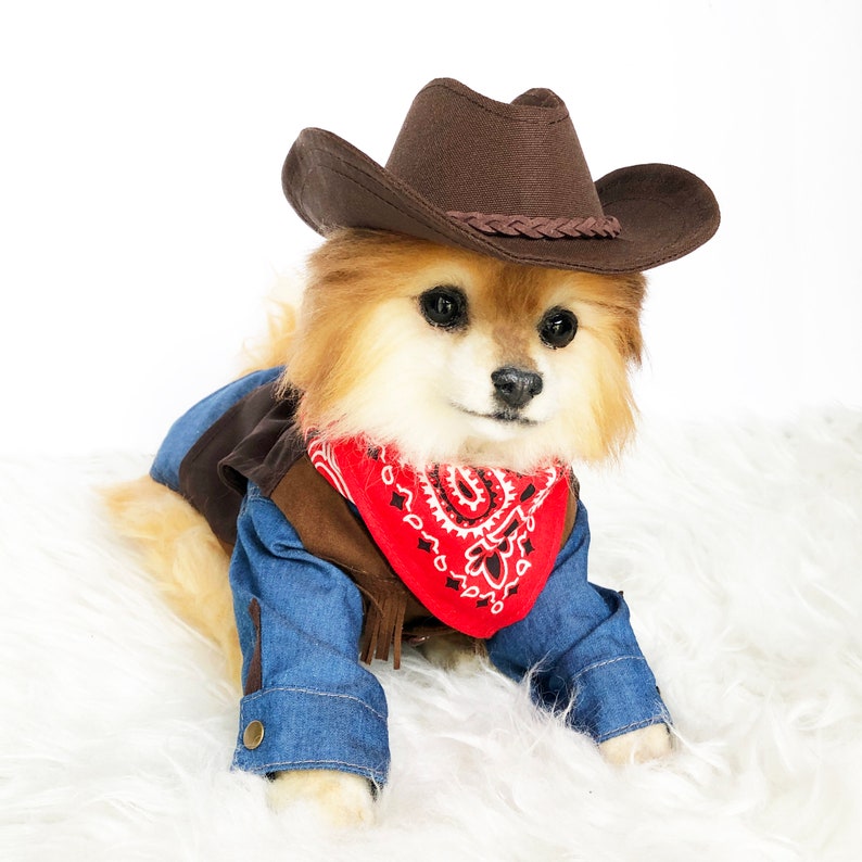 Dog Denim Western Shirts, Cowboy Jean Shirts, Puppy Dress Shirt, Dogs ...