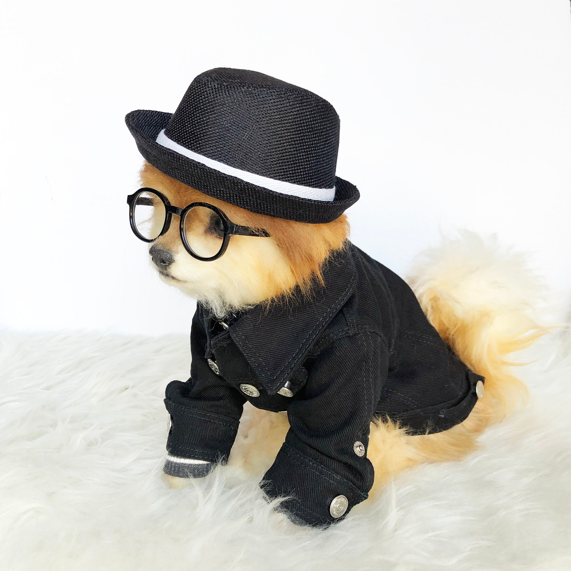 Black Fedora for DOGS, CATS! Dog Hats, Dog Caps, Summer Hat, Cowboy Hat ...