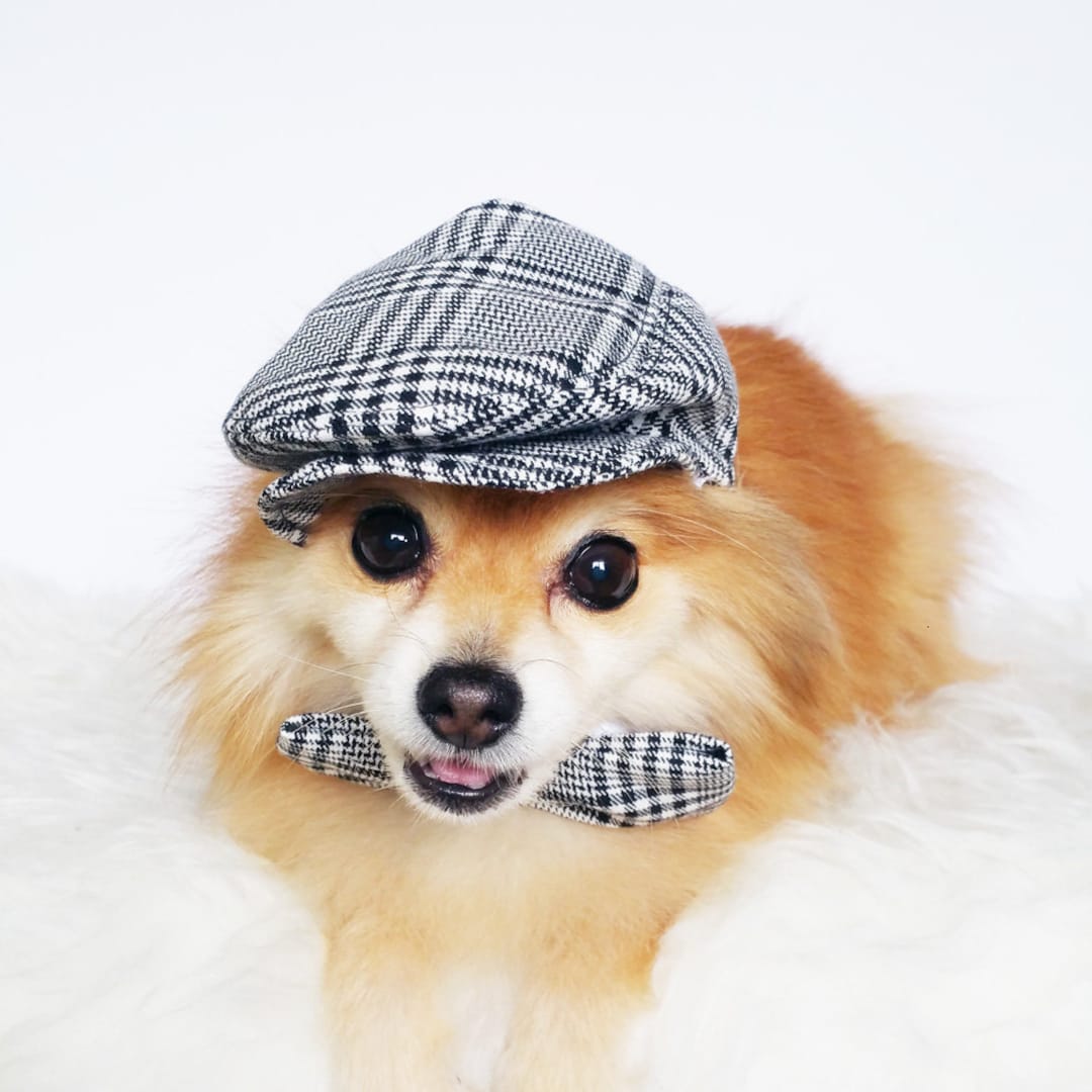 Ivy Caps for DOGS, CATS! HANDMADE Dog Hats, Summer Hat, Cowboy Hat, Sun ...