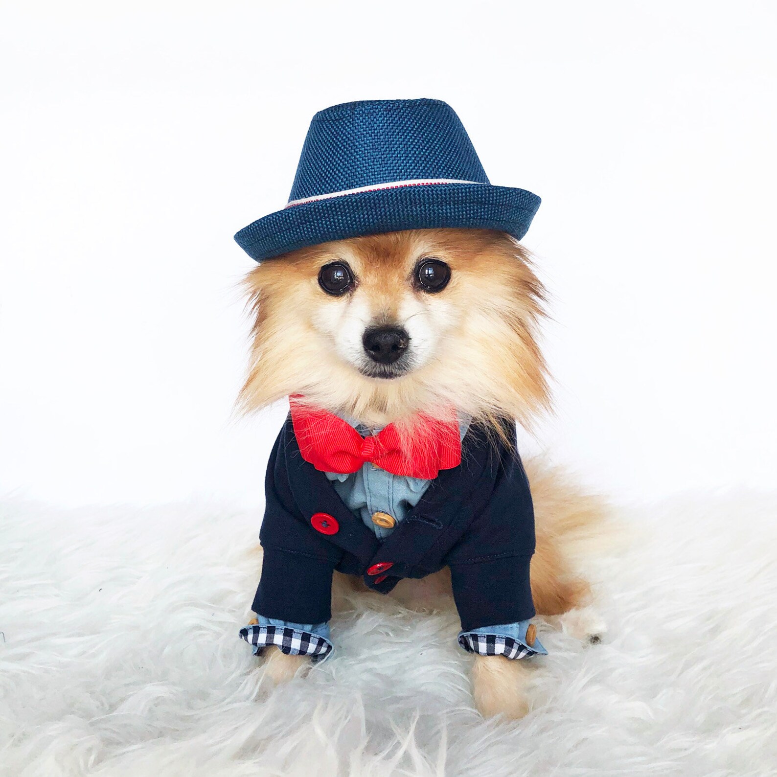 Fedora for DOGS CATS HANDMADE Dog Hats Dog Caps Summer - Etsy