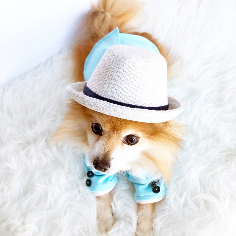 Fedora for DOGS CATS HANDMADE dog hats dog caps summer | Etsy