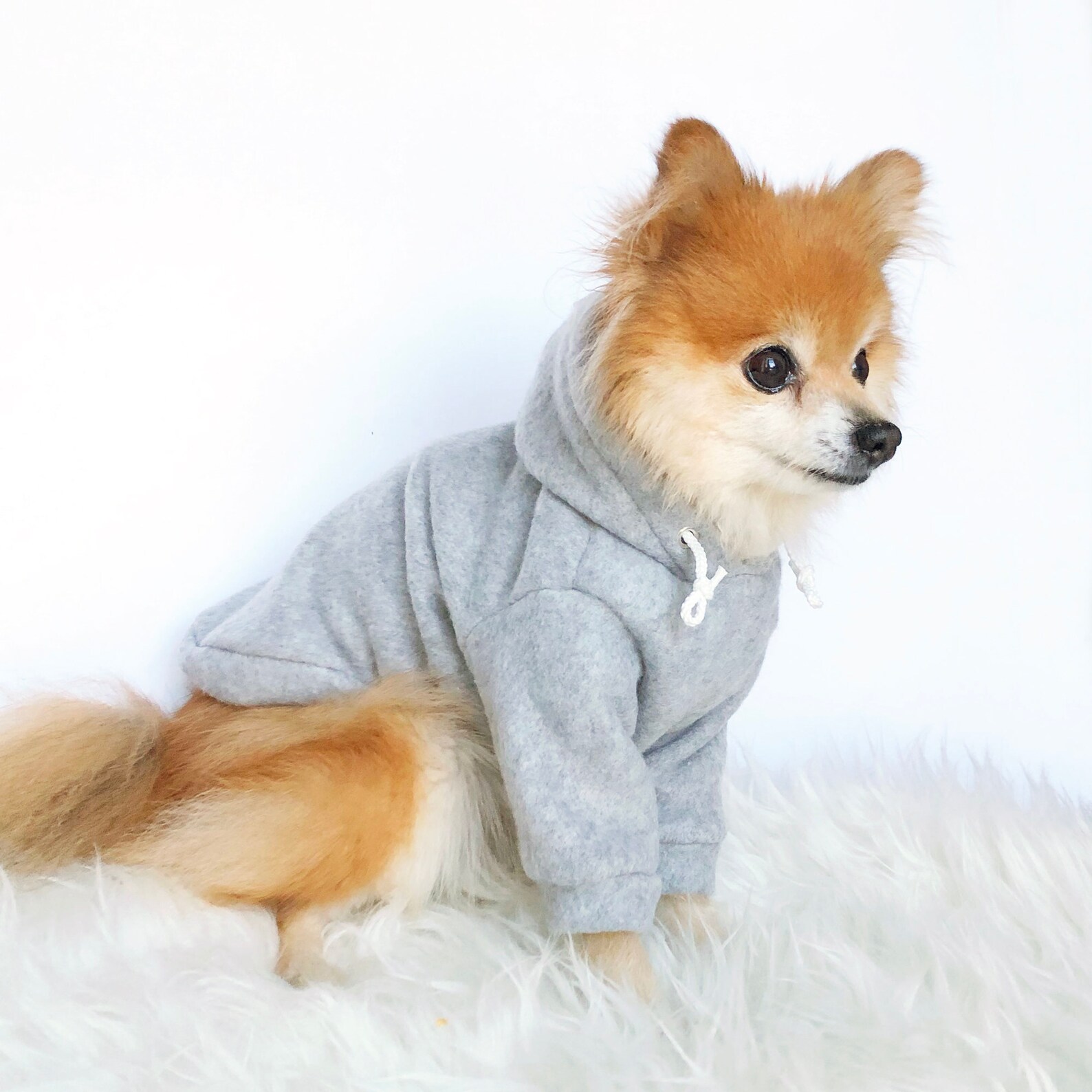 HANDMADE Dog Clothes S4XL Gray Sweater Dog Hoodie Pet - Etsy Canada