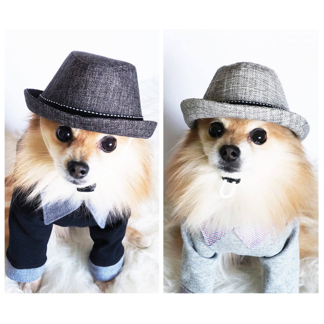 Fedora for DOGS CATS HANDMADE Dog Hats Dog Caps Summer - Etsy