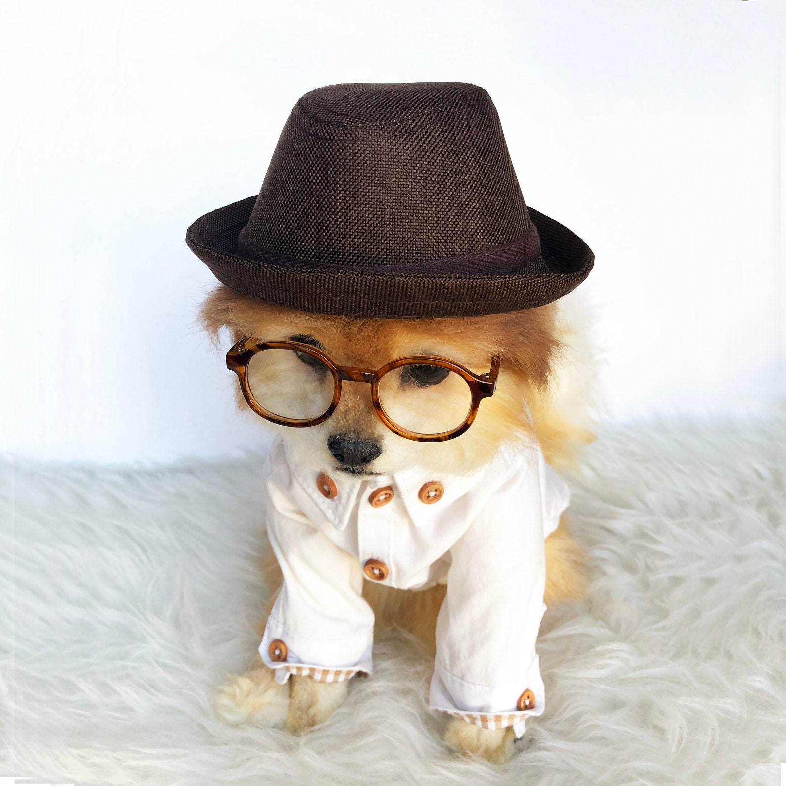 Fedora for DOGS CATS HANDMADE Dog Hats Dog Caps Summer - Etsy Canada