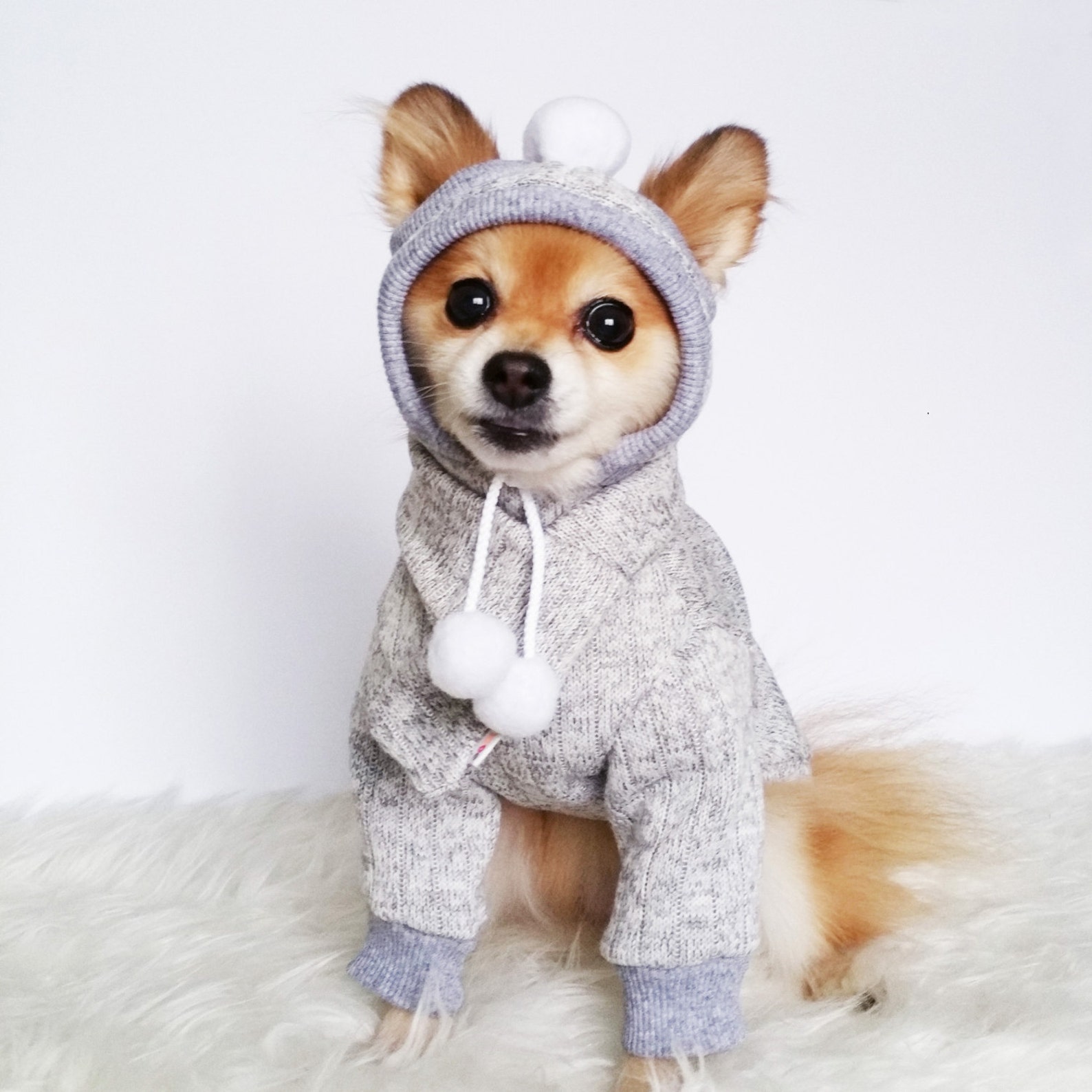 Dogs Winter Hat Scarf Set HANDMADE Dog Hats Dog Caps - Etsy