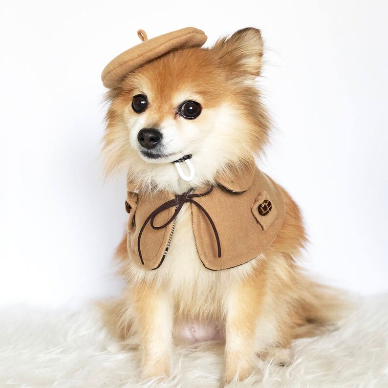Dogs Beret Cape Set HANDMADE Dog Hats Dog Caps Baseball - Etsy