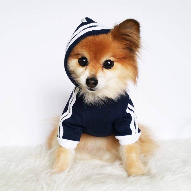 Sudadera con capucha para perros de doble raya ropa para - Etsy España