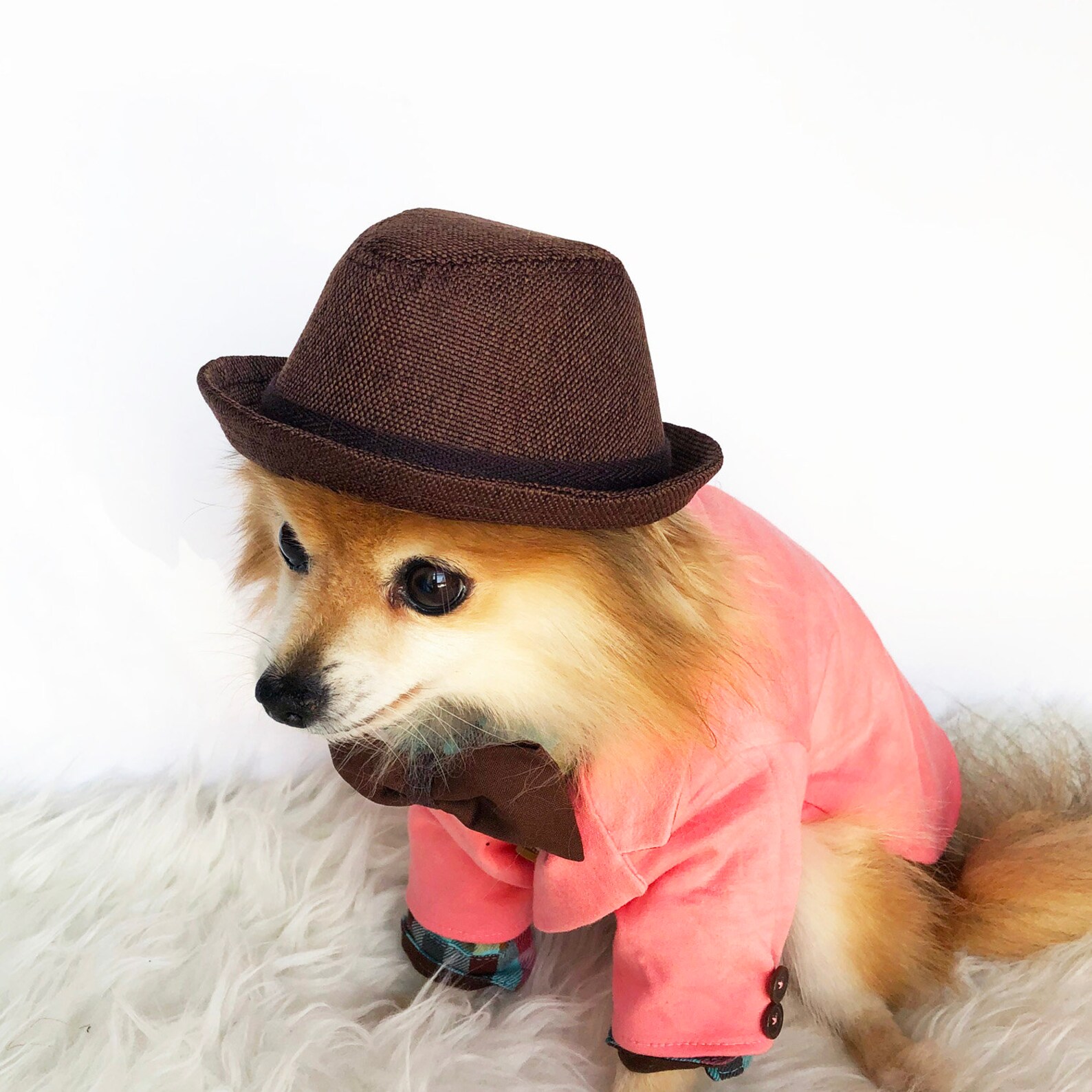 Fedora for DOGS CATS HANDMADE dog hats dog caps summer | Etsy