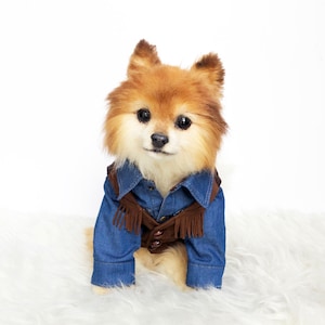 Dog Denim Western Shirts, Cowboy Jean Shirts, Puppy Dress Shirt, Dogs ...