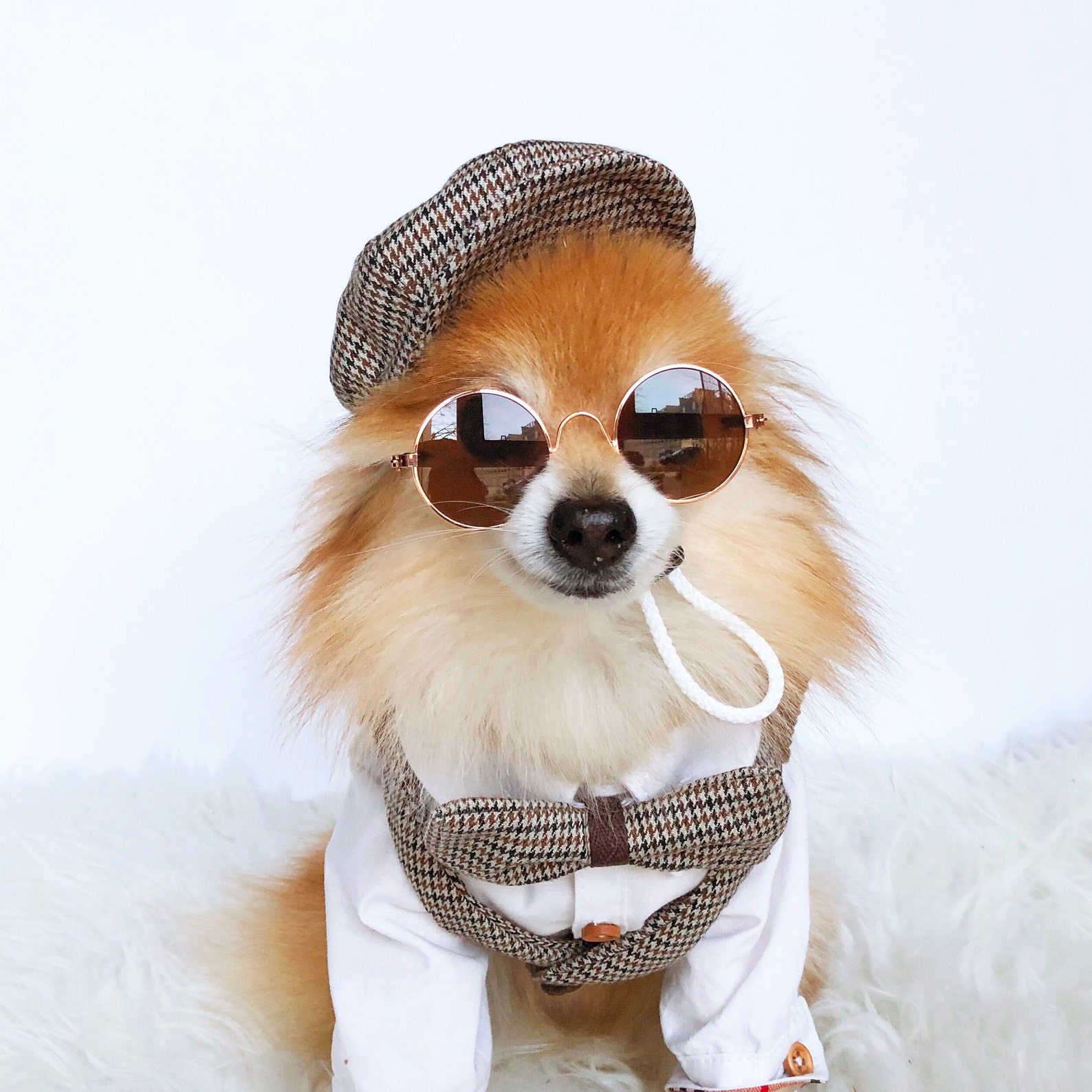 Dog Suit Vest, Check Buttondown Vest, Puppy Dress Shirt, Dog Wedding ...