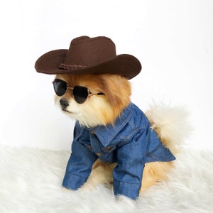 Dog Denim Western Shirts, Cowboy Jean Shirts, Puppy Dress Shirt, Dogs ...