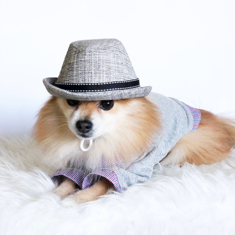 Fedora for DOGS CATS HANDMADE dog hats dog caps summer | Etsy