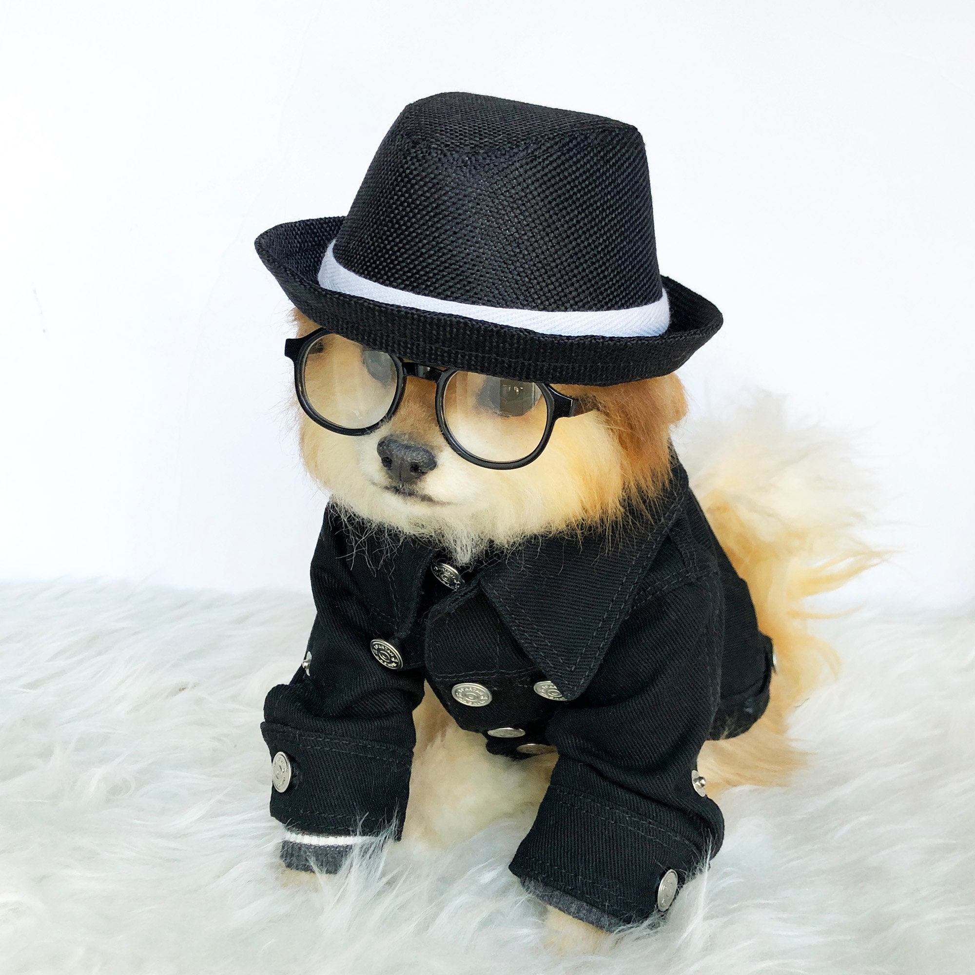Black Fedora for DOGS, CATS! Dog Hats, Dog Caps, Summer Hat, Cowboy Hat ...