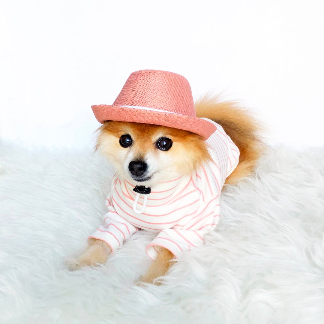 Peach Coral Fedora for DOGS, HANDMADE Dog Hats, Dog Caps, Summer Hat ...