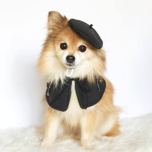 Dogs Beret, Cape Set! HANDMADE Dog Hats, Dog Caps, Baseball Hat ...