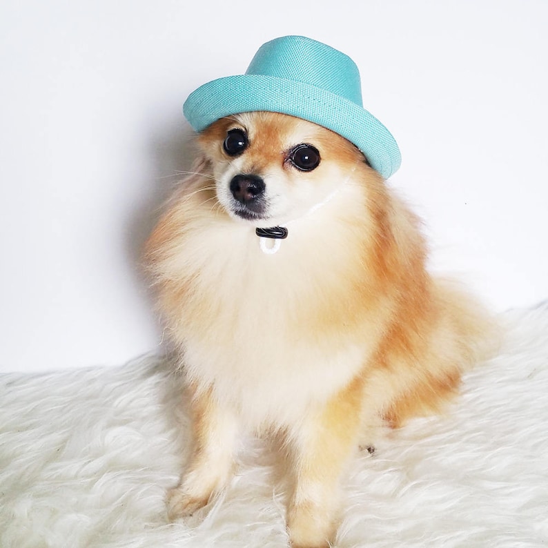 Fedora for DOGS, CATS! HANDMADE Dog Hats, Dog Caps, Summer Hat, Cowboy ...