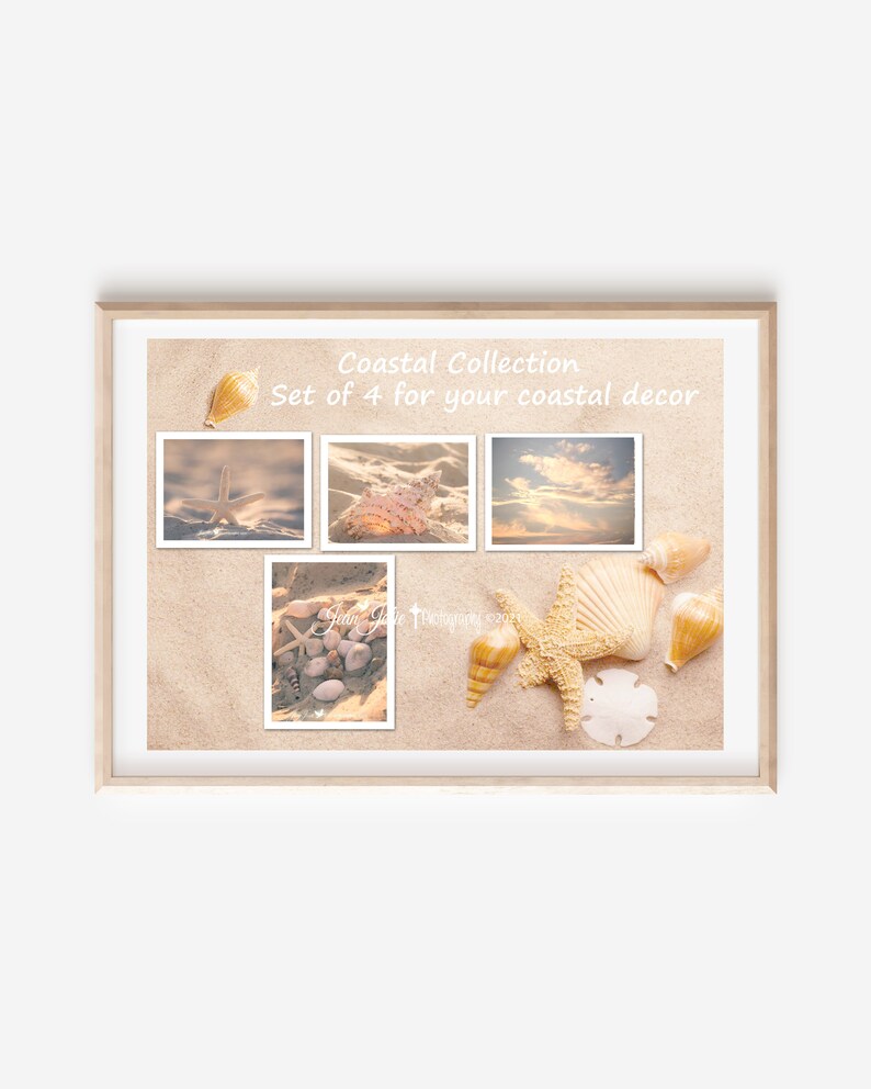 Shell Wall Art Shells Print Photograph Beach Print Beach - Etsy