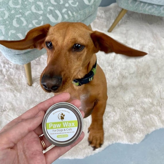Natural Dog Paw Wax 2oz tin soothe protect moisturize your dog s paws small batch handmade balm with 4 human grade ingredients