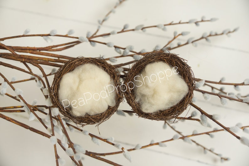 Digital Background Newborn Twins Two Nests Digital Prop - Etsy