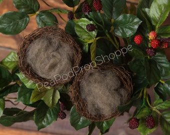 Digital Background Newborn Twins Two Nests Digital Prop | Etsy